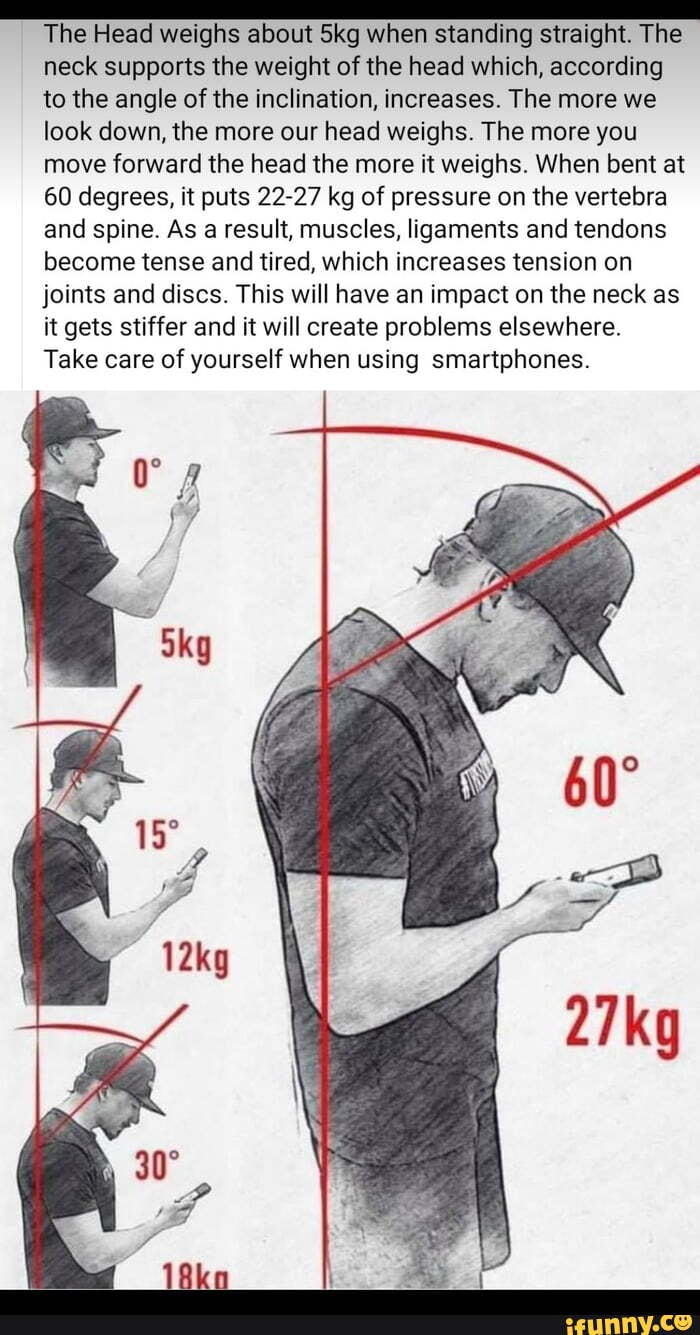 The Head weighs about Skg when standing straight. The neck supports the ...