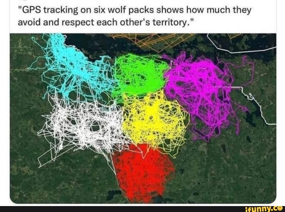 Tracking memes. Best Collection of funny Tracking pictures on iFunny