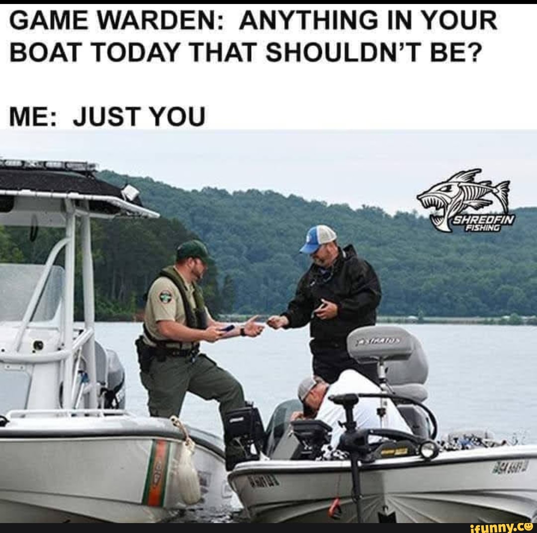 Shredfin memes. Best Collection of funny Shredfin pictures on iFunny