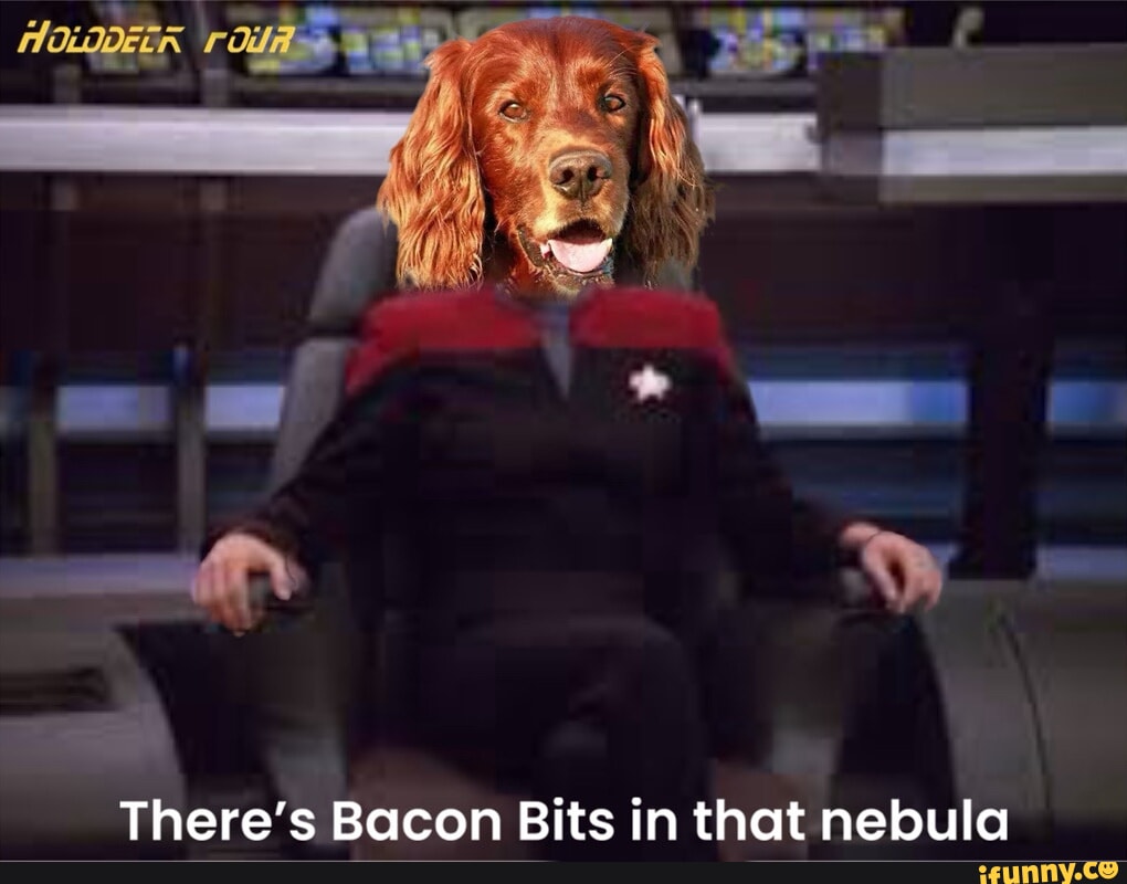 Startrekvoyager memes. Best Collection of funny Startrekvoyager ...