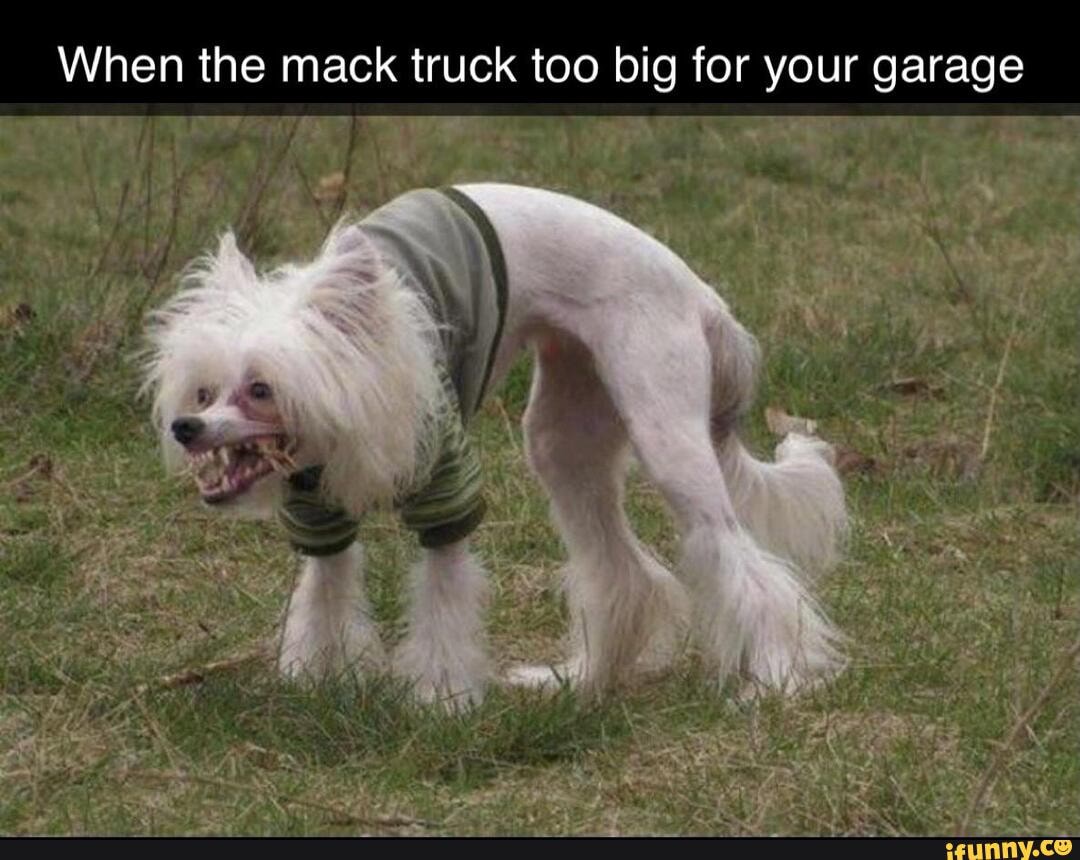 When the mack truck too big for your garage - iFunny