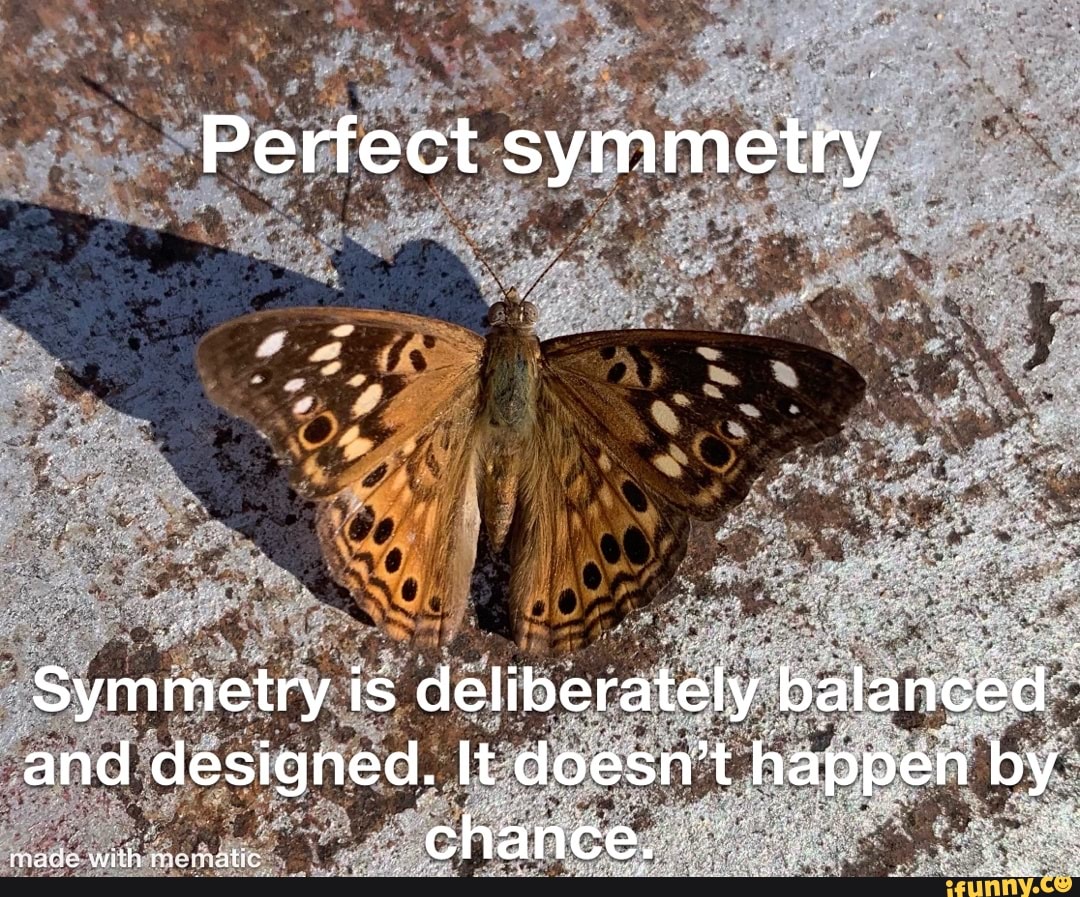 Symmetry memes. Best Collection of funny Symmetry pictures on iFunny