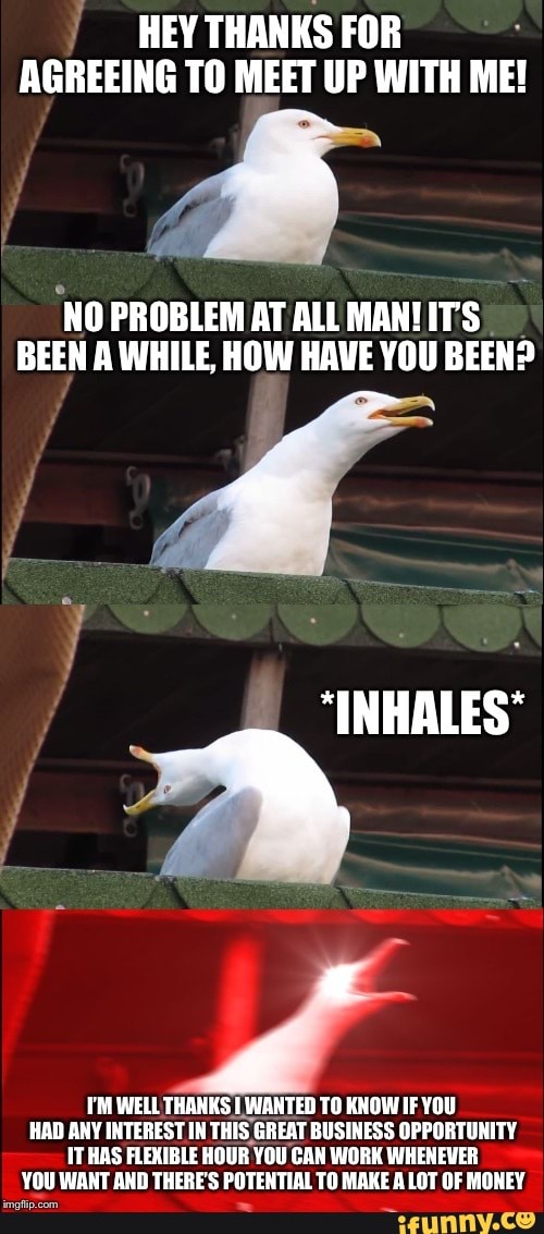 Pyramid_scheme memes. Best Collection of funny Pyramid_scheme pictures ...