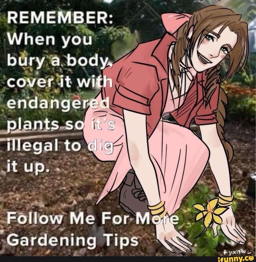 Bury memes. Best Collection of funny Bury pictures on iFunny