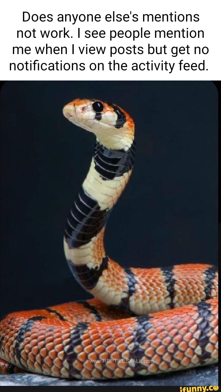 Notifications memes. Best Collection of funny Notifications pictures on ...