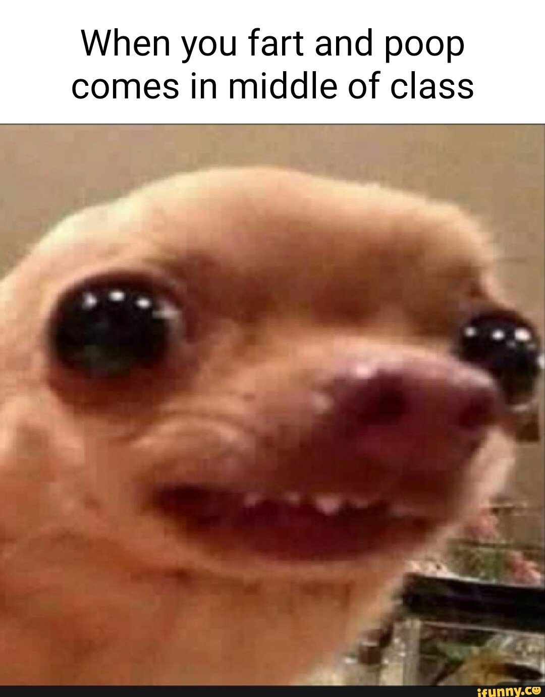 When you fart and poop comes in middle of class - iFunny