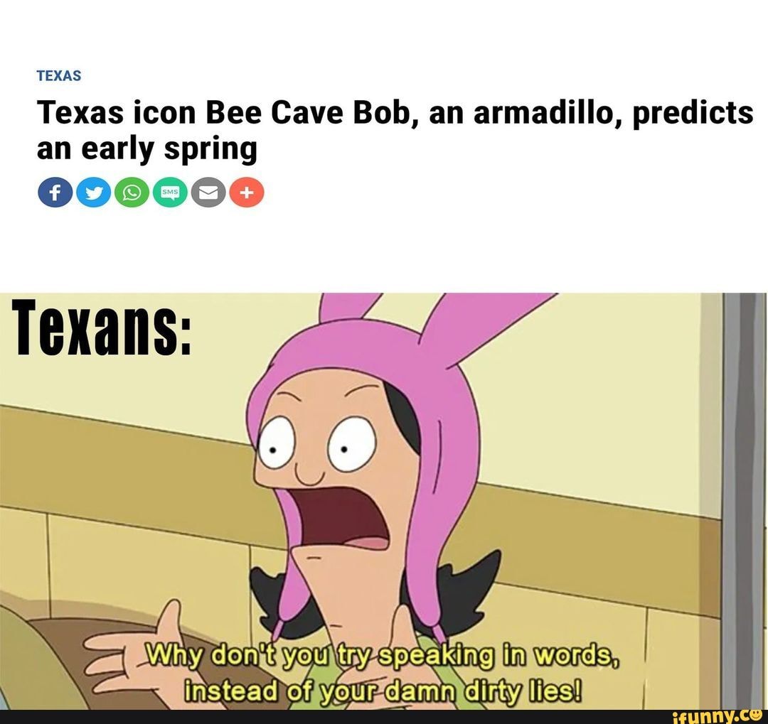 TEXAS Texas icon Bee Cave Bob, an armadillo, predicts an early spring ...