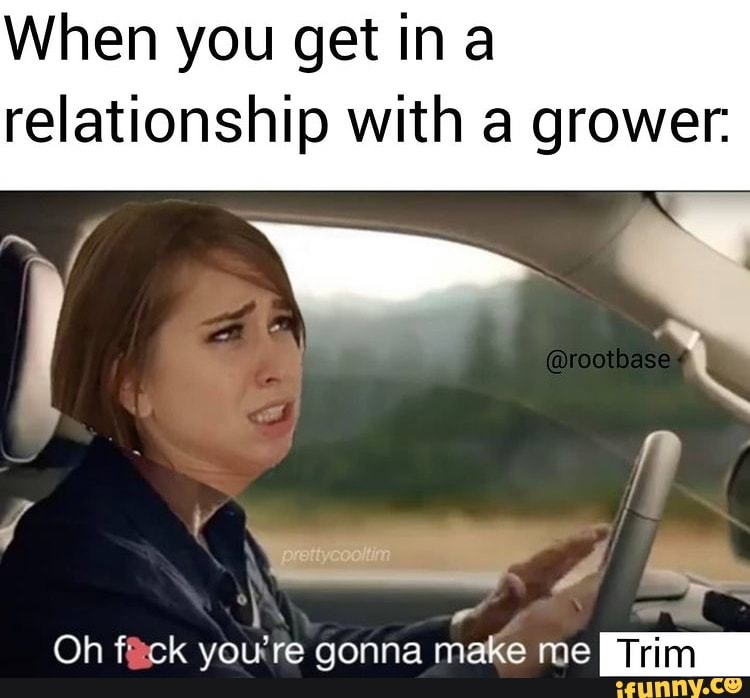 Trim memes. Best Collection of funny Trim pictures on iFunny
