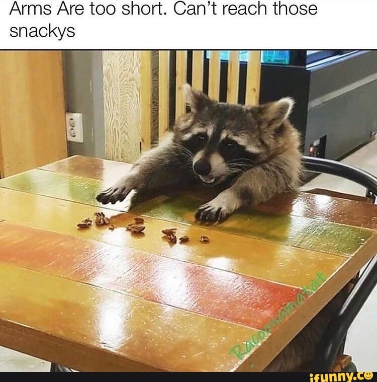 Arms Are too short. Can't reach those snackys - iFunny
