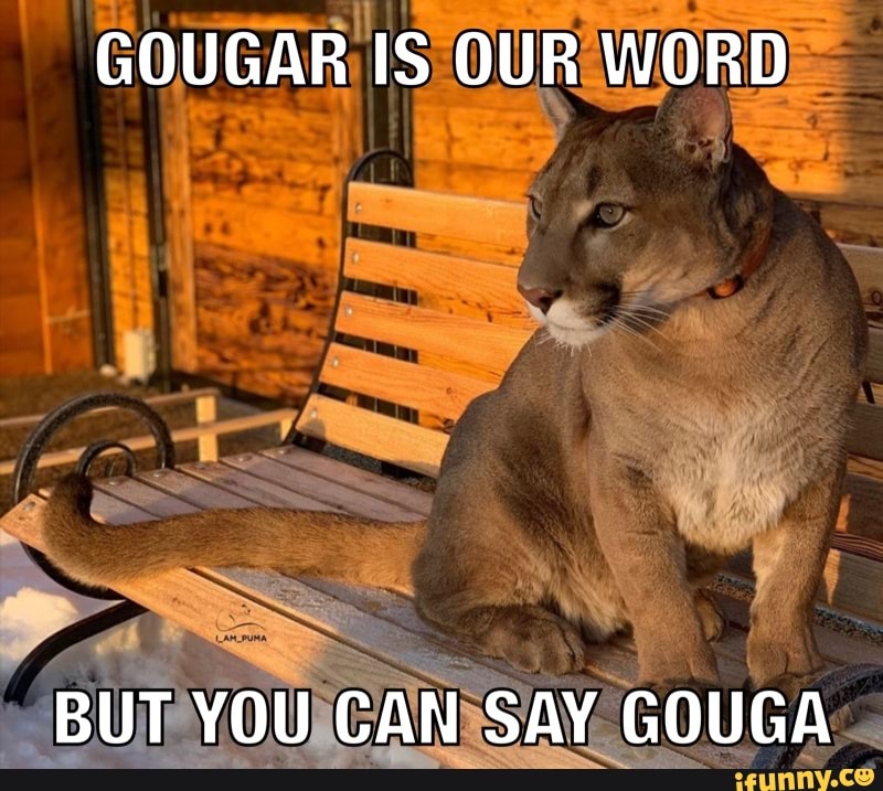 Gouga memes. Best Collection of funny Gouga pictures on iFunny