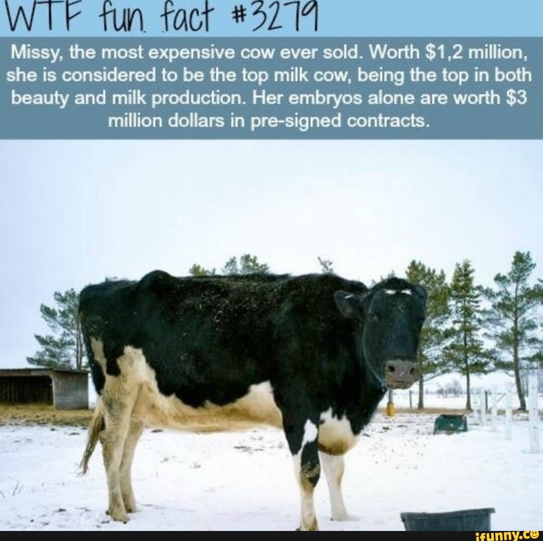 Embryos memes. Best Collection of funny Embryos pictures on iFunny