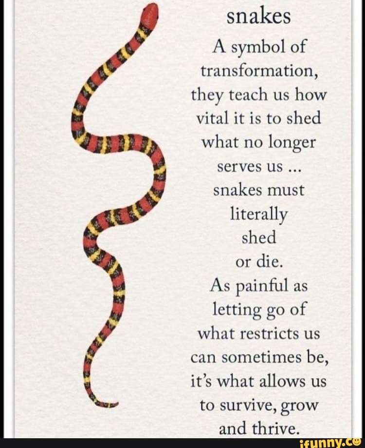 Snakes A symbol of transformation, they teach us how vital it is to ...