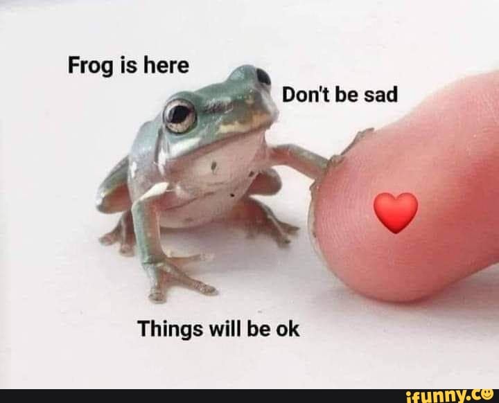 Frog is here Don't be sad RI Things will be ok - iFunny