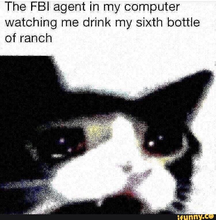 The FBI agent in my computer watching me drink my sixth bottle of ranch ...