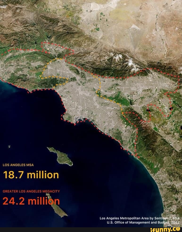 Msa memes. Best Collection of funny Msa pictures on iFunny