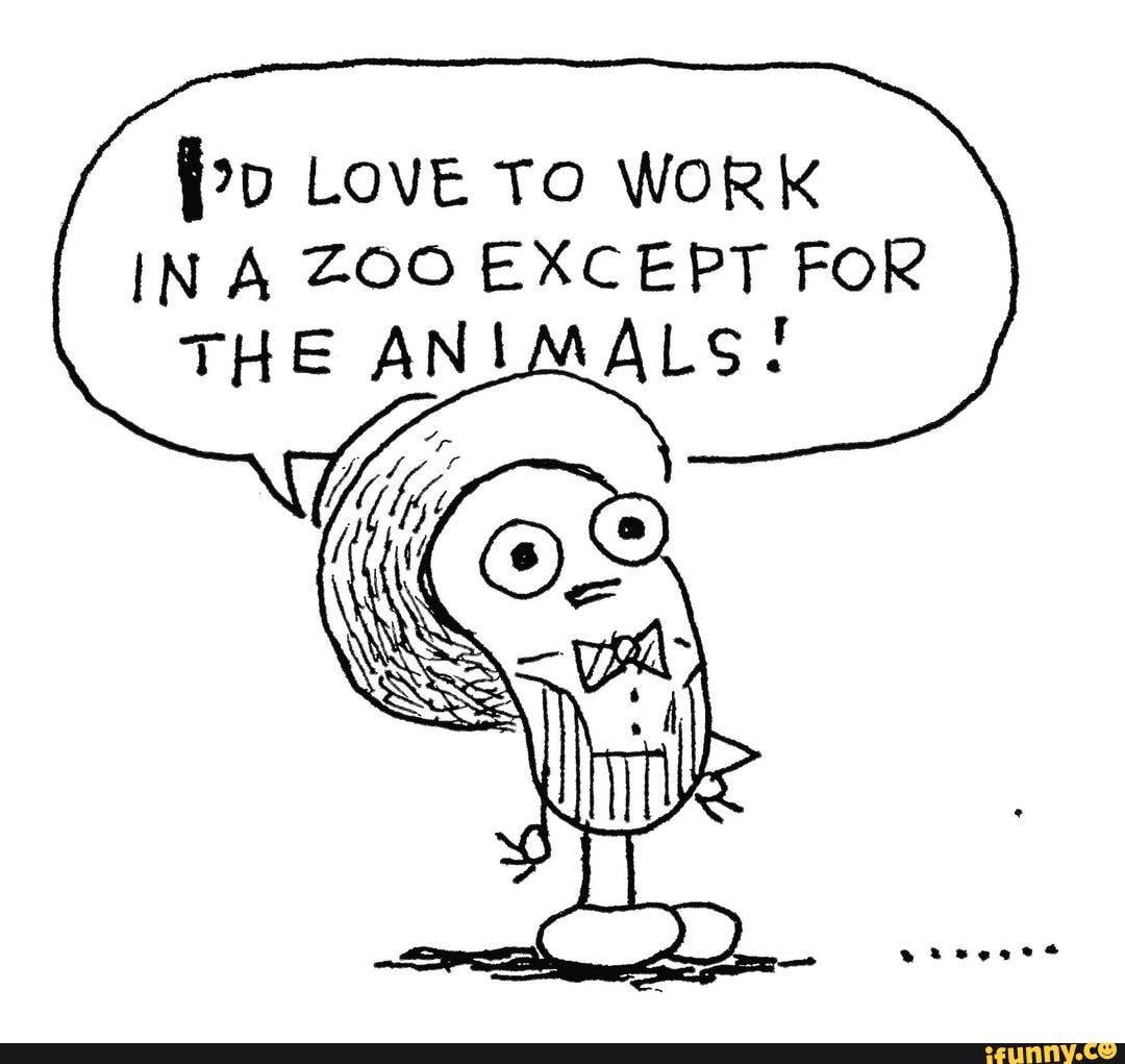 Memes En El Zoo