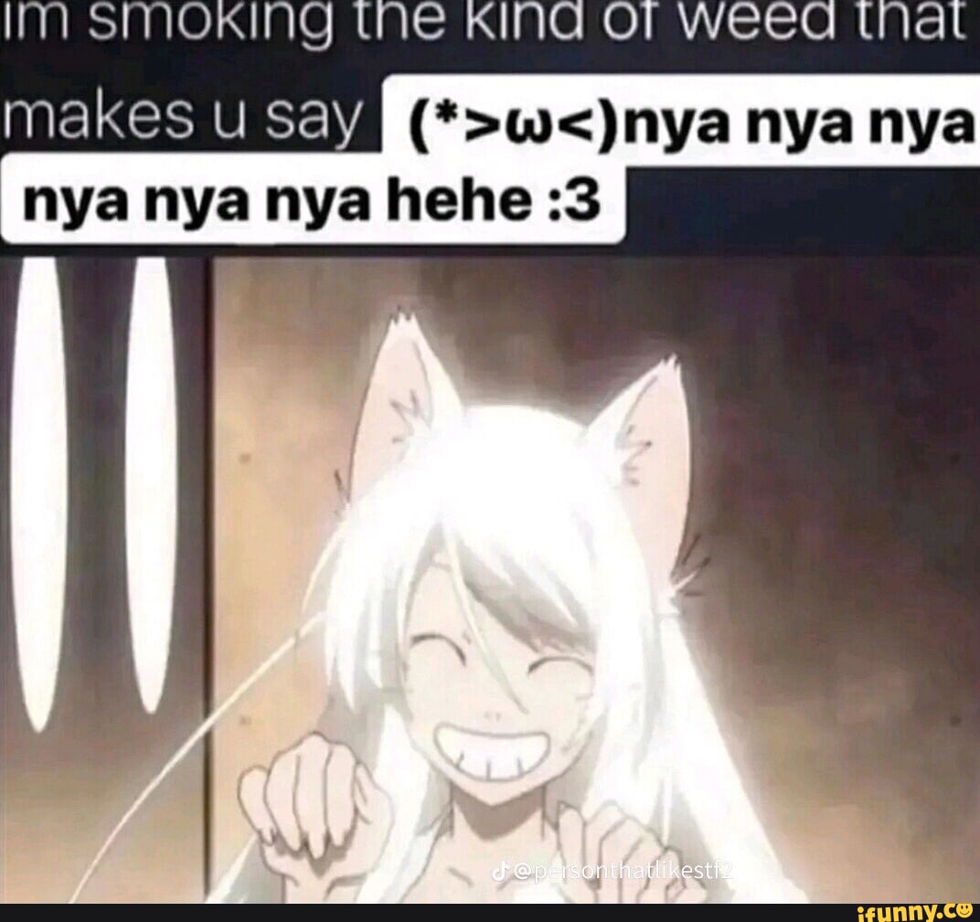 Nya memes. Best Collection of funny Nya pictures on iFunny