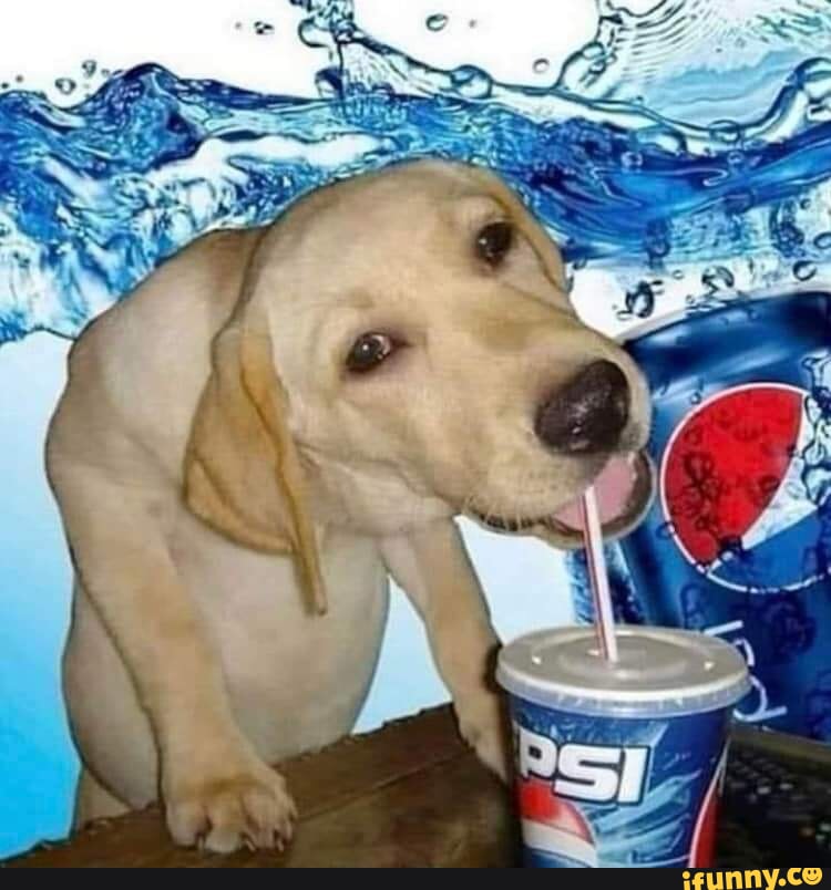 Pepsi memes. Best Collection of funny Pepsi pictures on iFunny