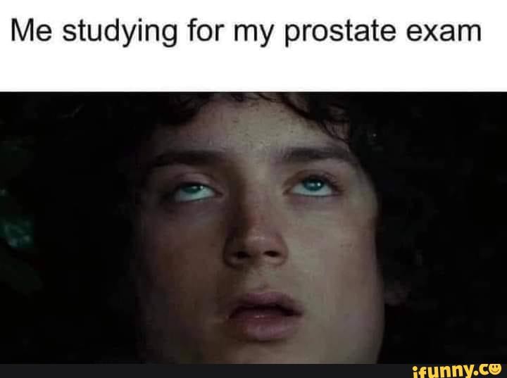 A currated collection of memes, vol. 4 - Me studying for my prostate ...