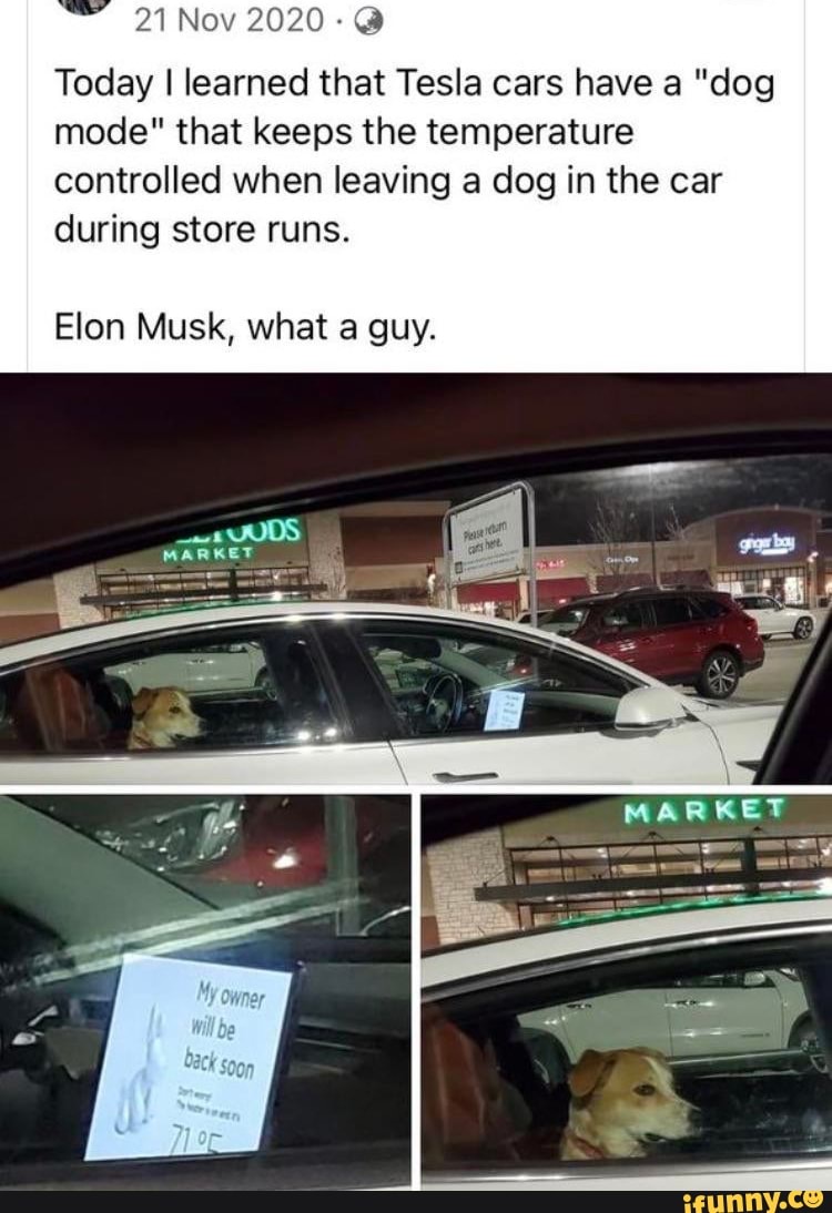 Dogetodollar memes. Best Collection of funny Dogetodollar pictures on ...