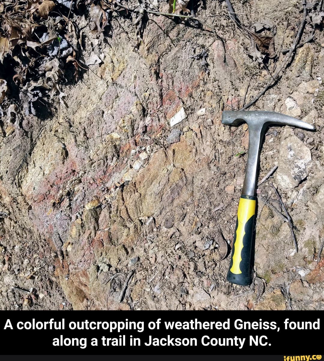 Fieldwork memes. Best Collection of funny Fieldwork pictures on iFunny