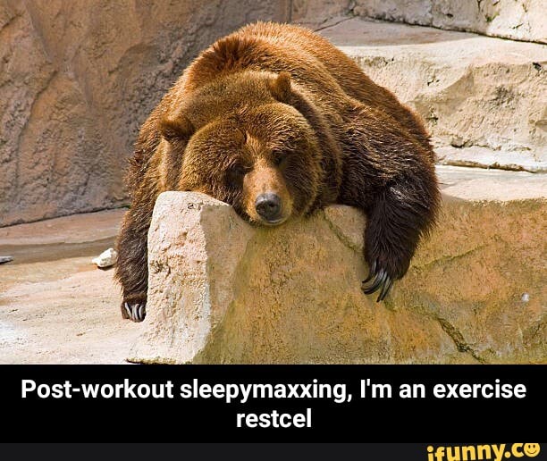 Exercise memes. Best Collection of funny Exercise pictures on iFunny