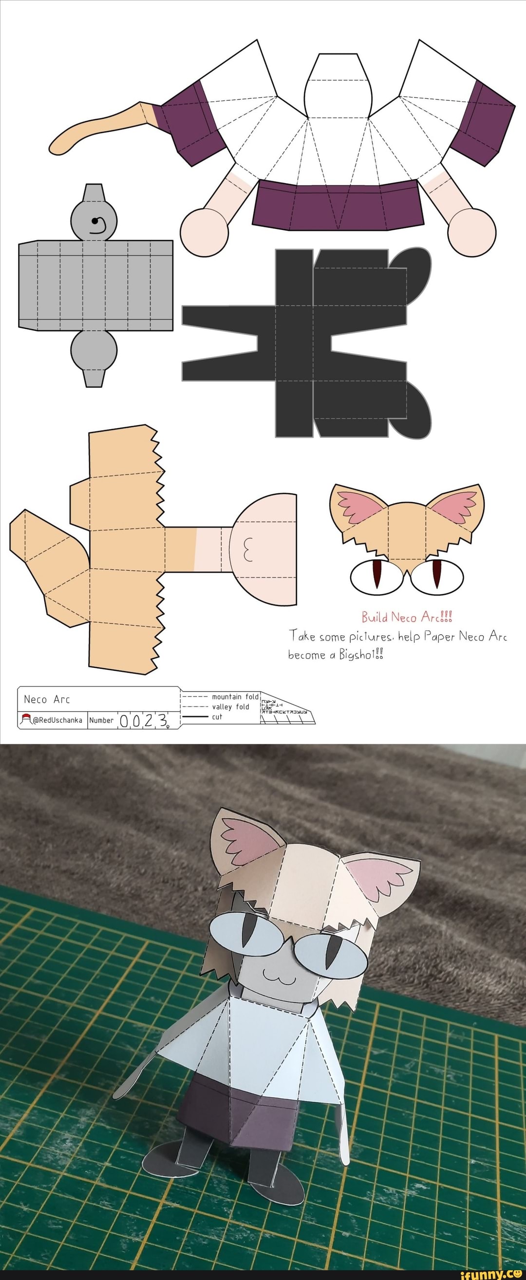 Build Neco Take some piclures. help Paper Neco Arc become a Bigshol ...