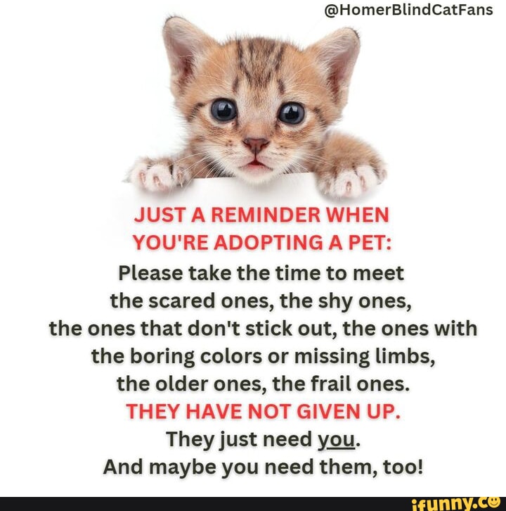 Frail memes. Best Collection of funny Frail pictures on iFunny