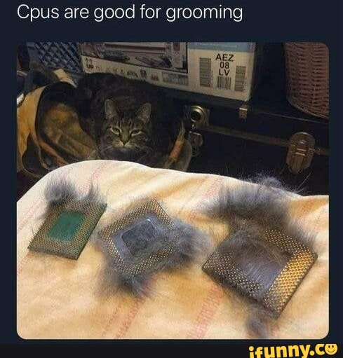 Grooming memes. Best Collection of funny Grooming pictures on iFunny