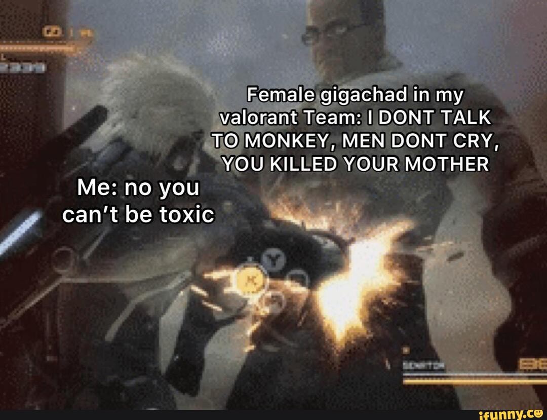 Female gigachad in my valorant Team: I DONT TALK TO MONKEY, MEN DONT ...