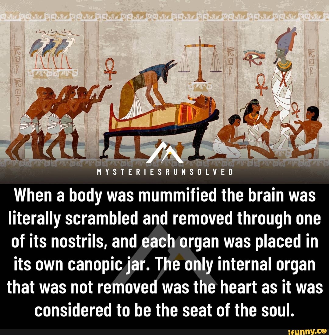 IN MYSTERIESRUNSOLVED When a body was mummified the brain was literally ...