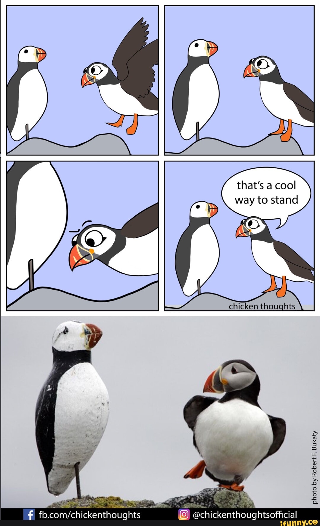 That's a cool way to stand photo by Rebert Robert Robert Robert Robert ...