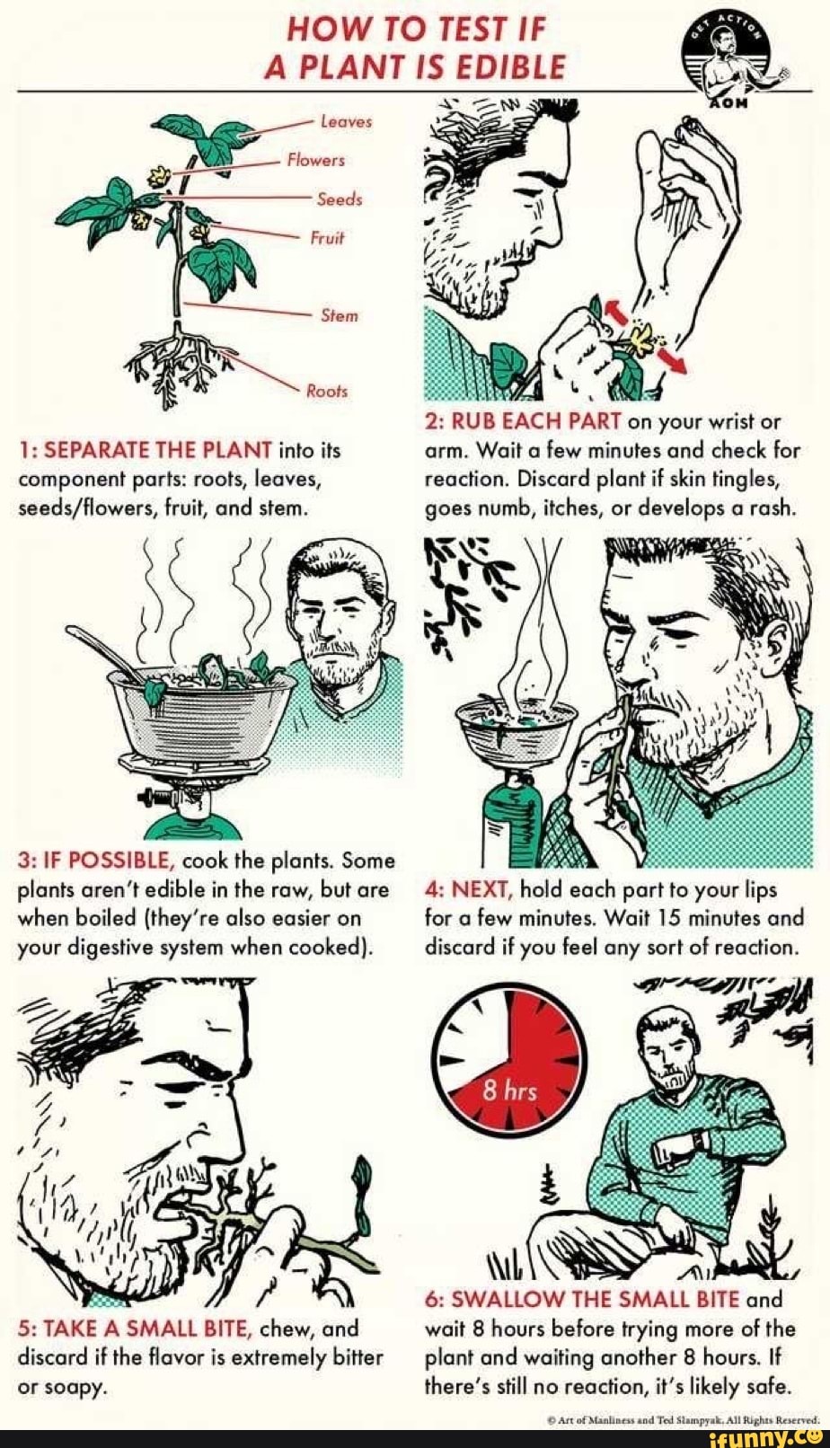 HOW TO TEST IF A PLANT IS EDIBLE leaves Flowers Seeds Stem Roots 1 ...