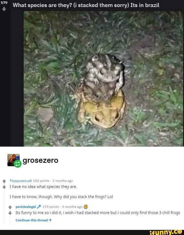 What species are they? (i stacked them sorry) Its in brazil though. Why ...