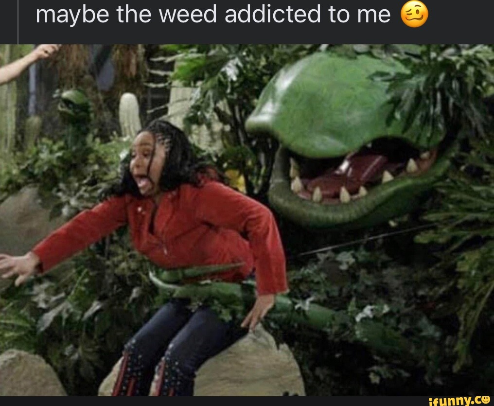 Phil Jamesson Philosophy 101 Midterm I Mario, the Idea vs. Mario, the ...