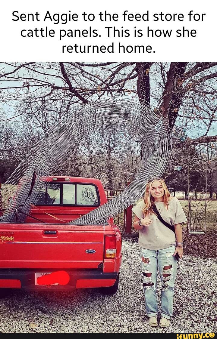 Aggie memes. Best Collection of funny Aggie pictures on iFunny