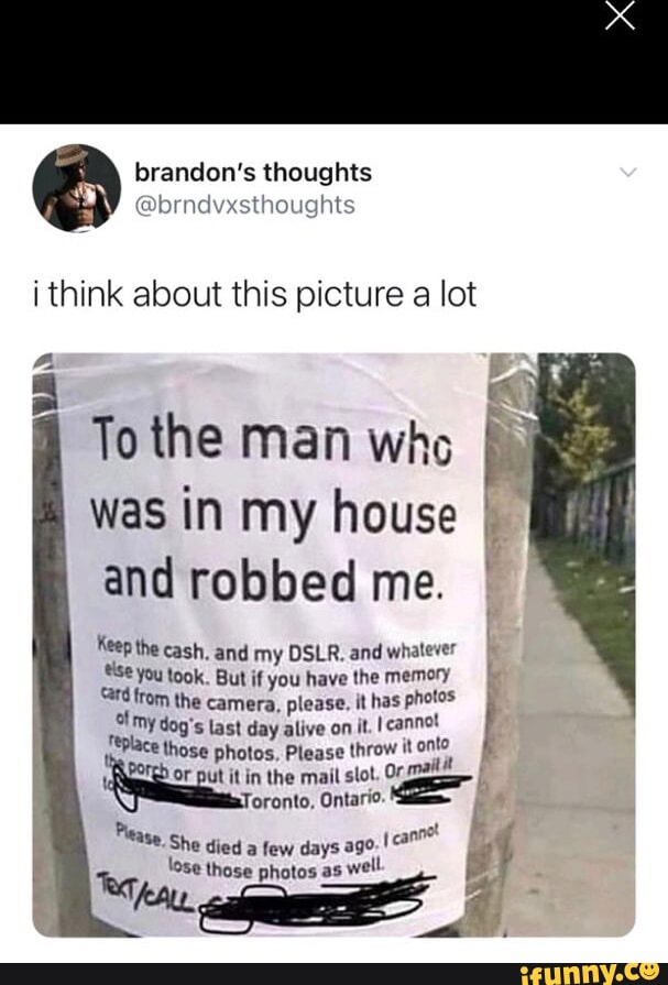 Dslr memes. Best Collection of funny Dslr pictures on iFunny