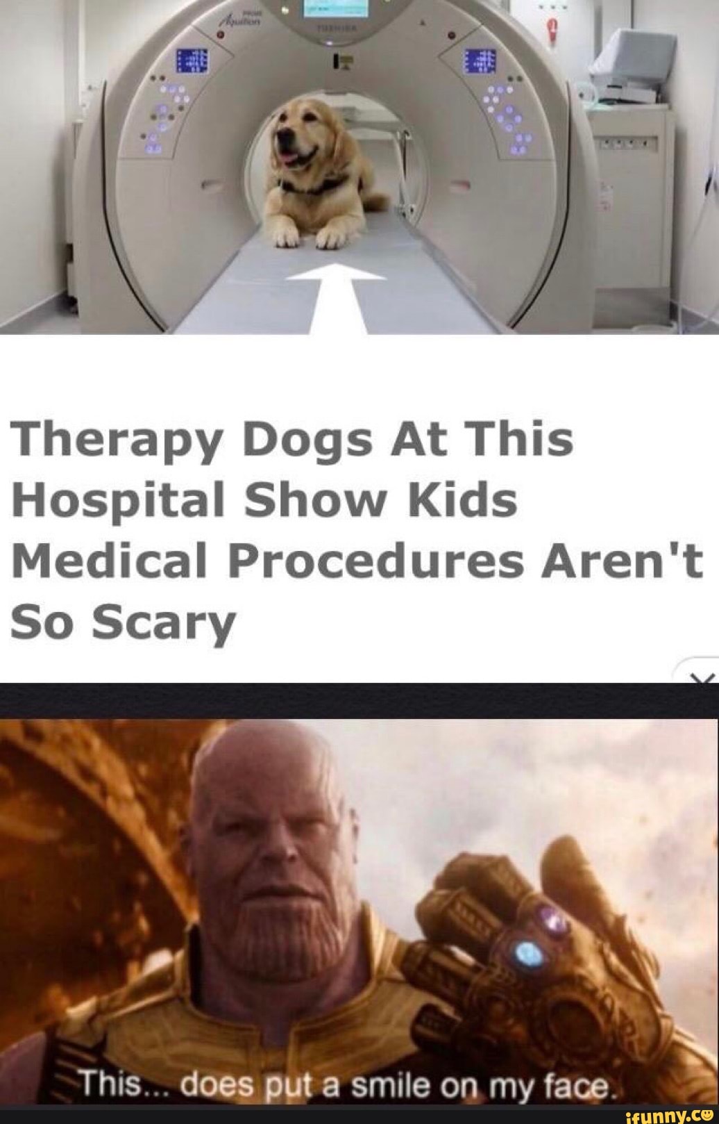 Therapy Dogs At This Hospital Show Kids Medical Procedures Aren't So ...