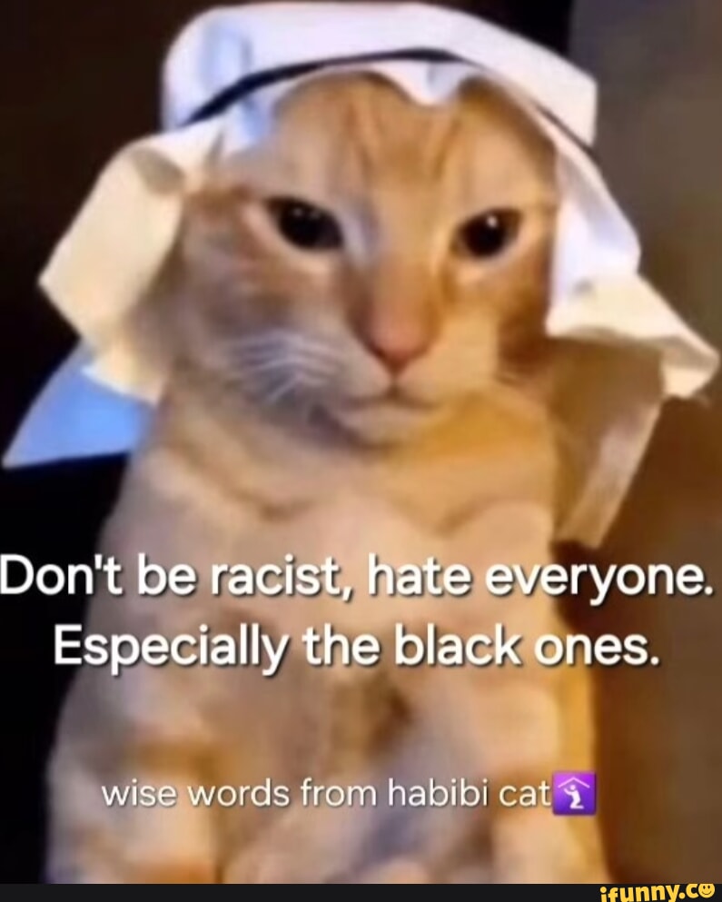 Habibi memes. Best Collection of funny Habibi pictures on iFunny