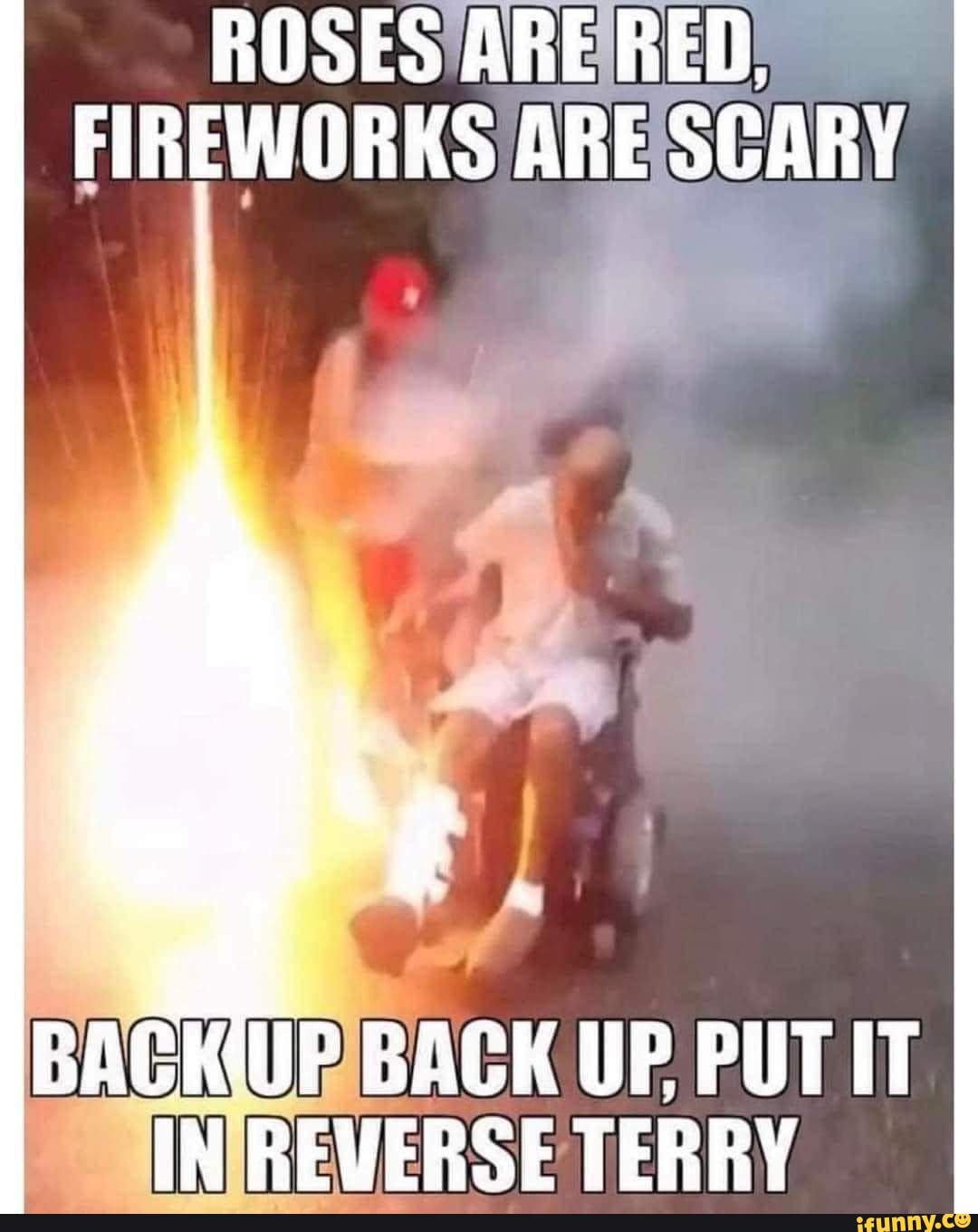FIREWORKS ARE SCARY BACKUP) BACK UP PUT IT IN REVERSE TERRY - iFunny