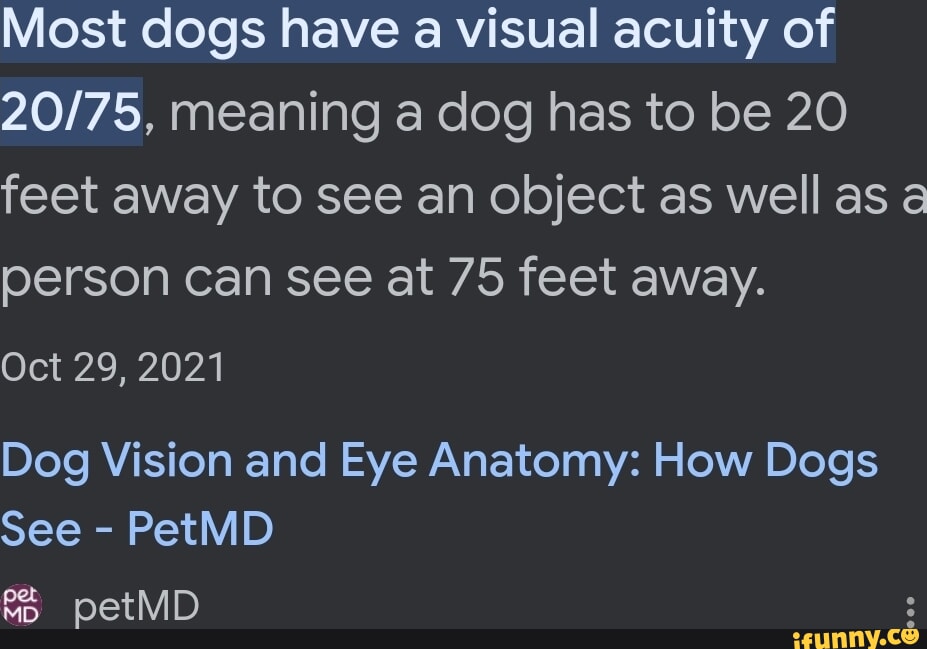Most dogs have visual acuity of meaning a dog has to be 20 feet away to ...