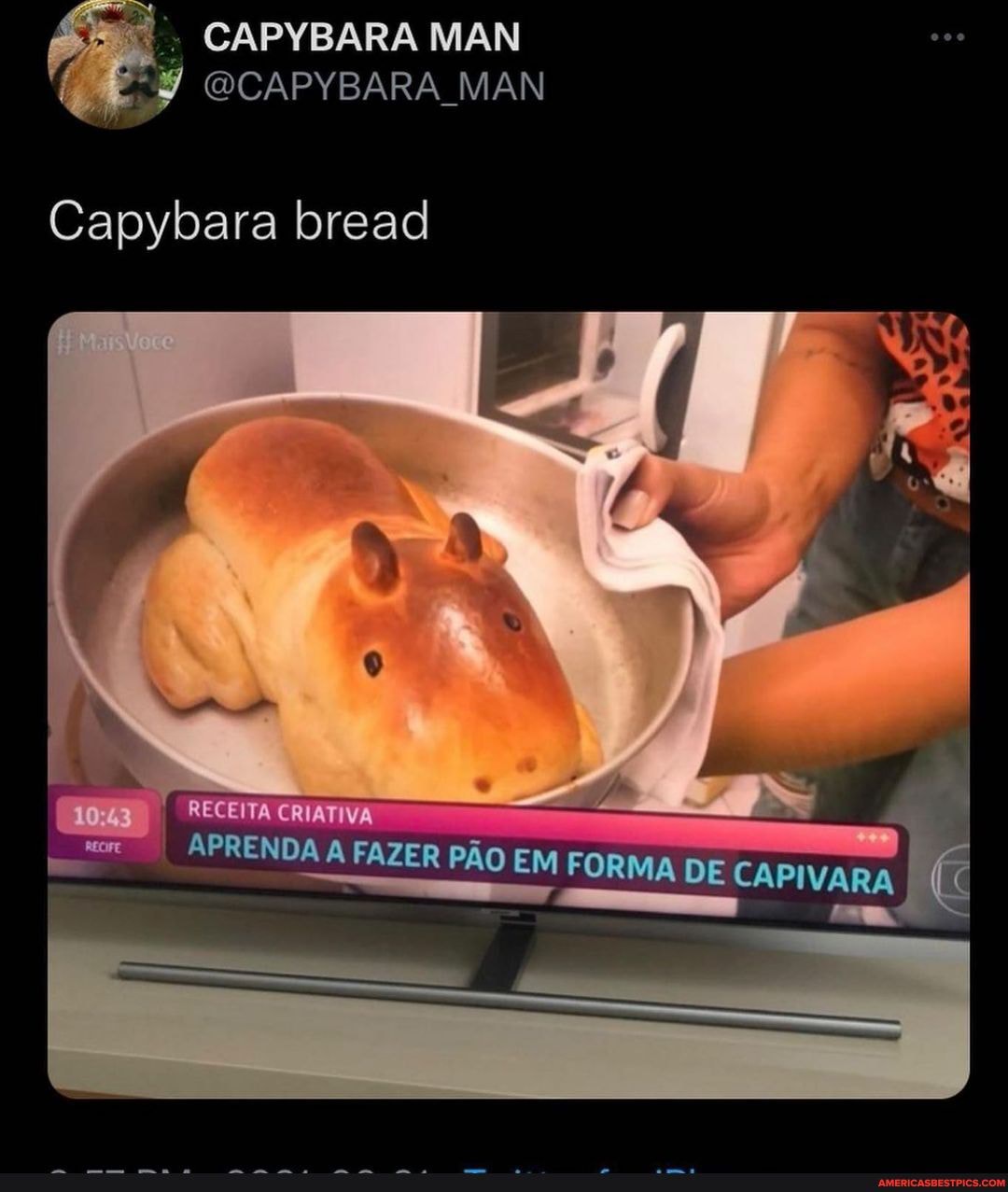CAPYBARA MAN ( @CAPYBARA MAN Capybara bread RECEITA APRENDA A FAZER PAO ...