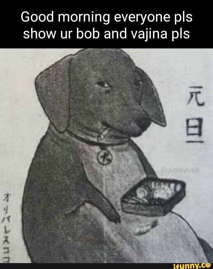 Good morning everyone pls show ur bob and vajina pls - iFunny