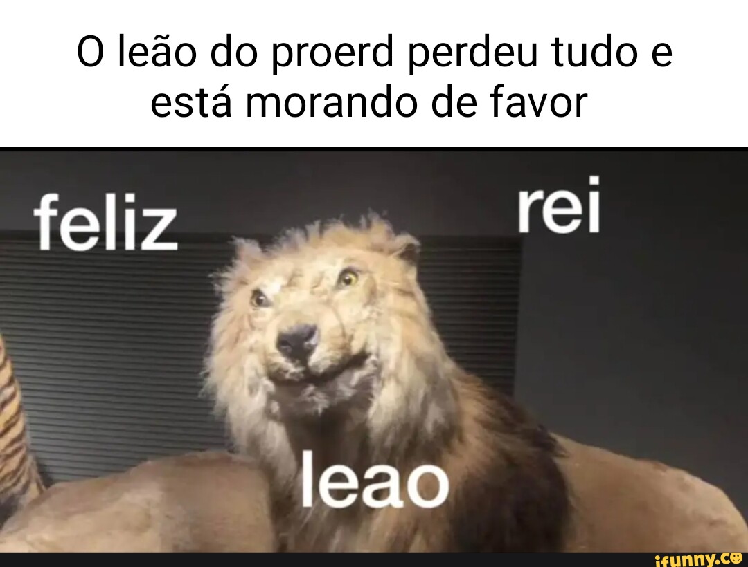 O leão do proerd perdeu tudo e está morando de favor feliz rei leao - )