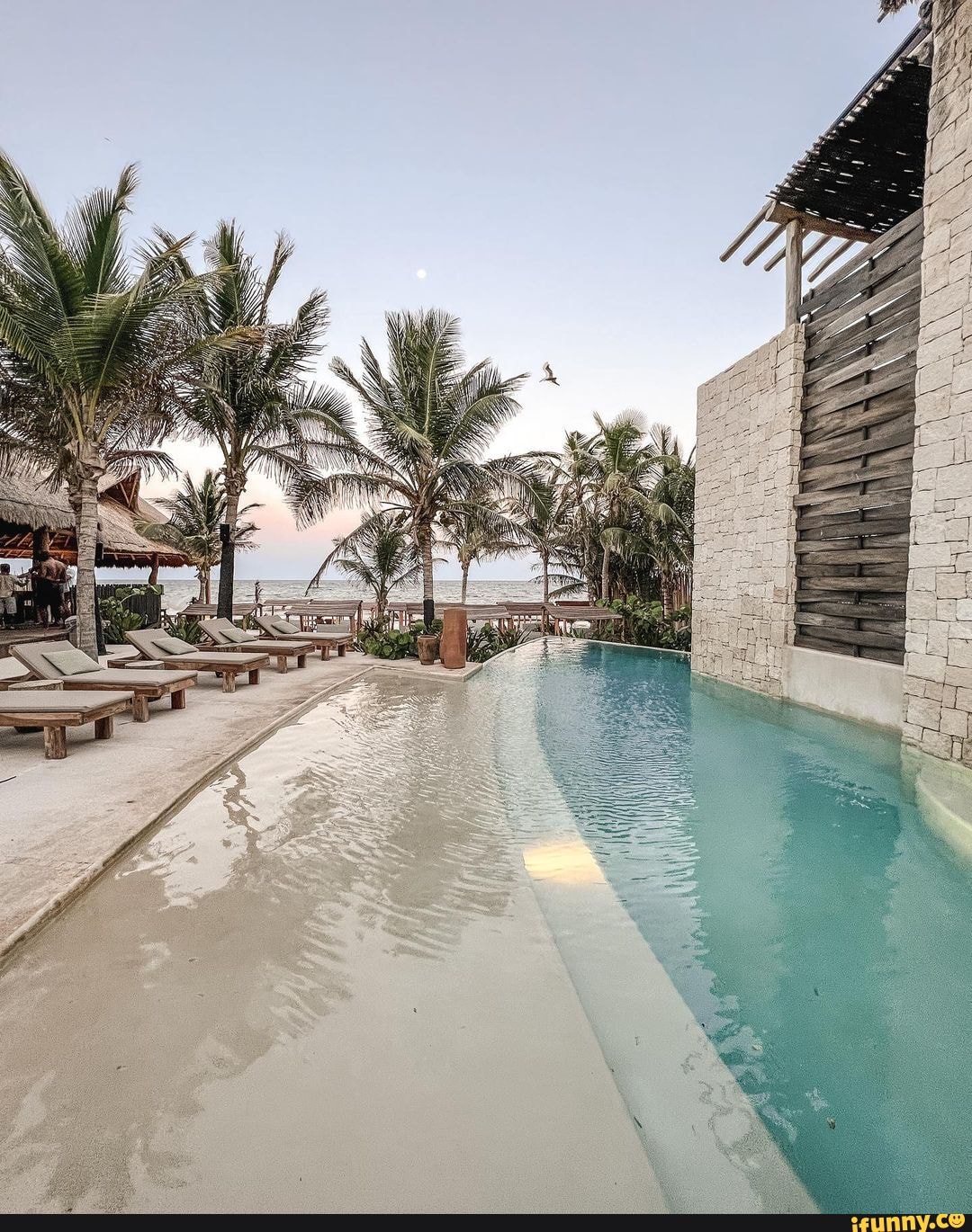 Maxanab_tulum memes. Best Collection of funny Maxanab_tulum pictures on ...