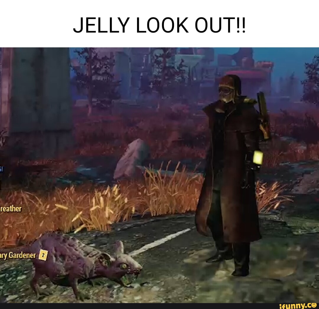 JELLY LOOK OUT!!! reather ry Gardener - iFunny