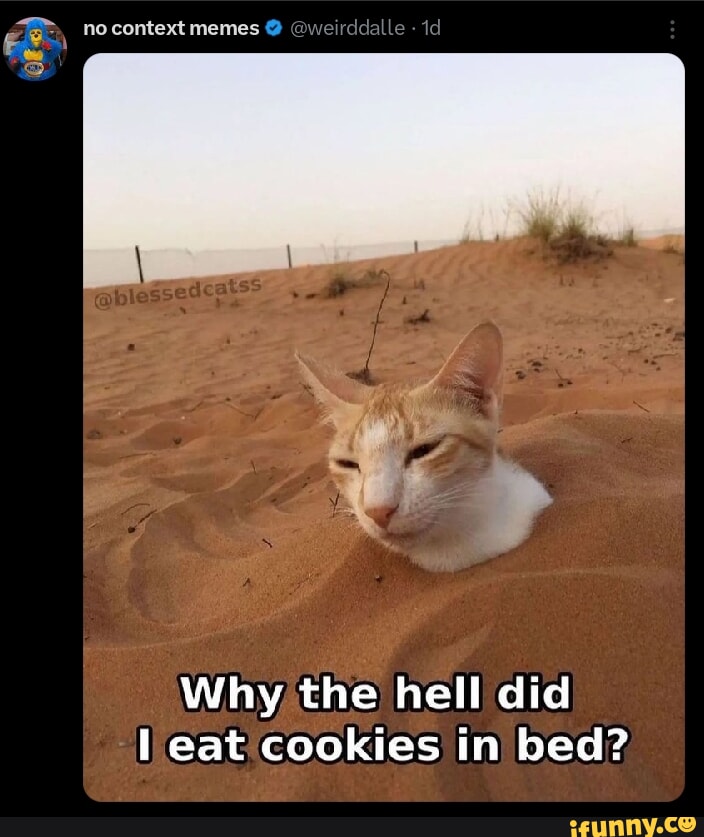 Fe no context memes Why the hell did I eat cookies in bed? - iFunny