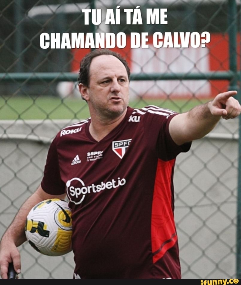 TU AÍ TÁ ME CHAMANDO DE CALVO? - iFunny Brazil