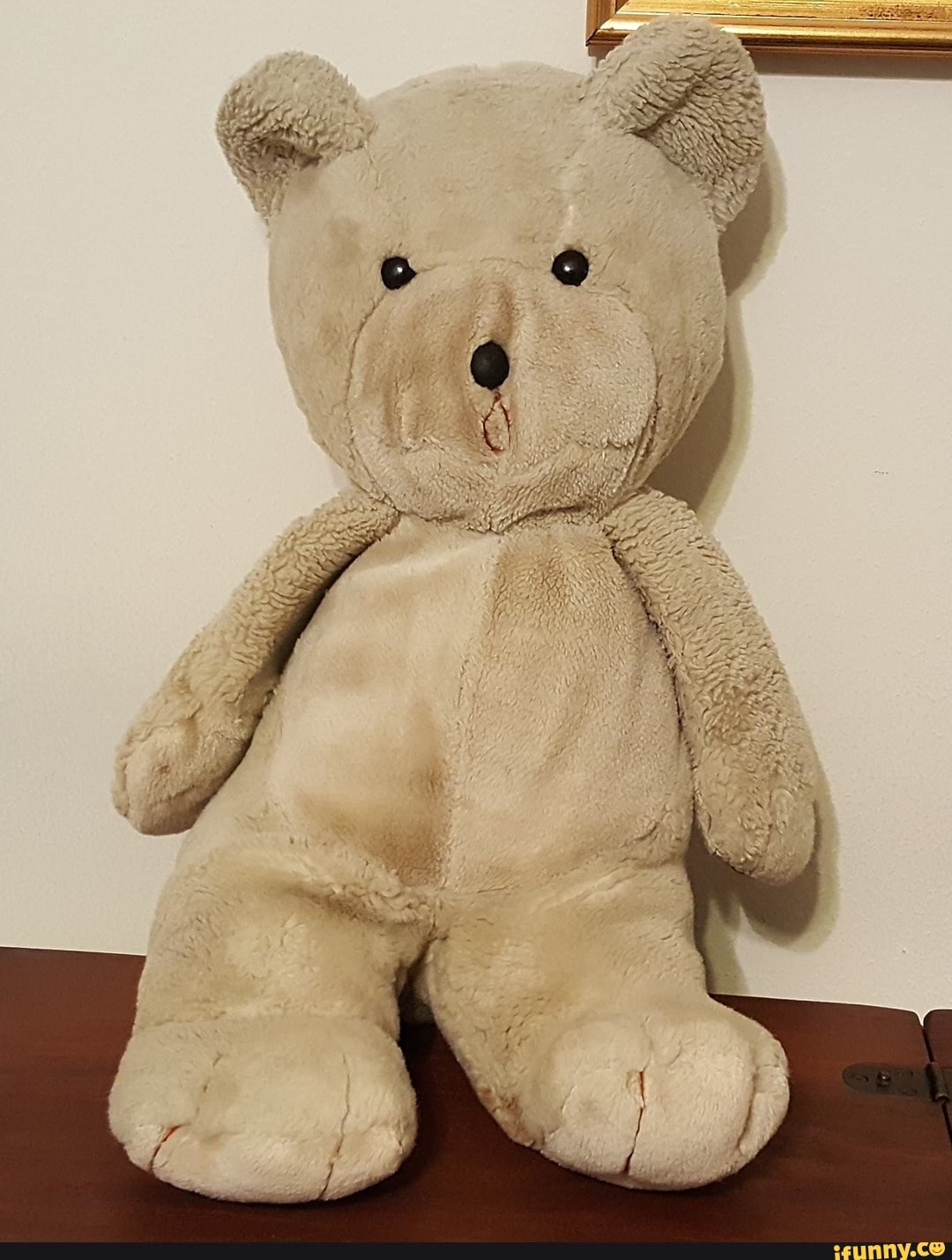 Teddy_bear memes. Best Collection of funny Teddy_bear pictures on iFunny