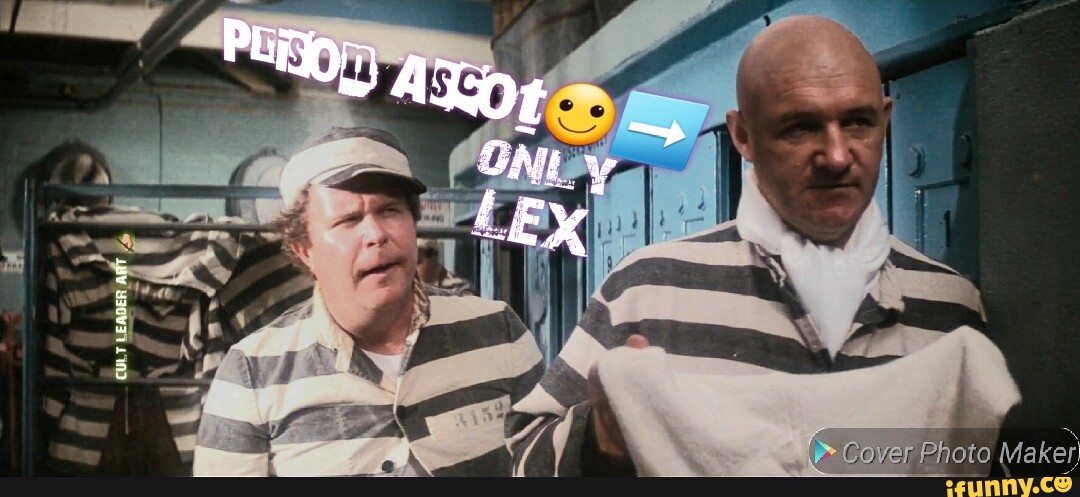 Ascot memes. Best Collection of funny Ascot pictures on iFunny